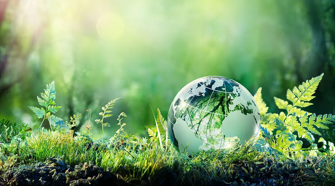 How Remote Trap Monitoring Benefits the Environment - Trapmate Solutions