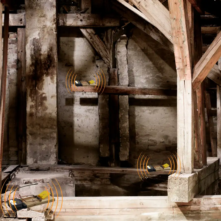 Homeowner Solutions LP - Trapmate Solutions